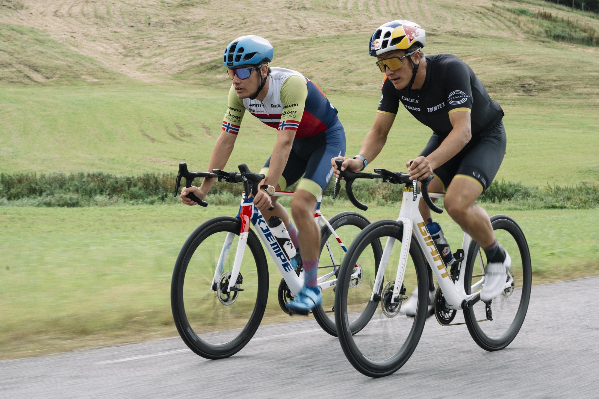 世界冠軍榮耀登台 冠軍戰駒與他們的產地 - 單車誌-Cycling update